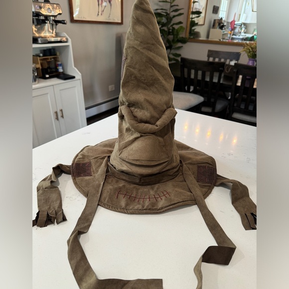 Warner Bros. | Toys | Harry Potter Sorting Animated Talking Hat | Poshmark